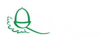 Plant Supply – Quercus Nursery